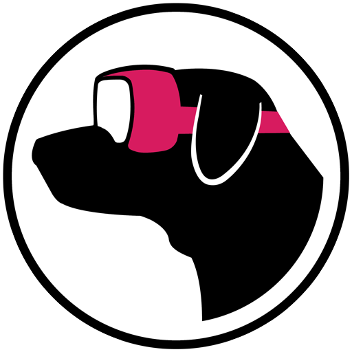 Wordpress And Drupal Development Services Daggerhart Lab